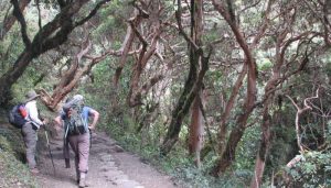 Inca Trail - Guide To Hiking The Inca Trail To Machu Picchu