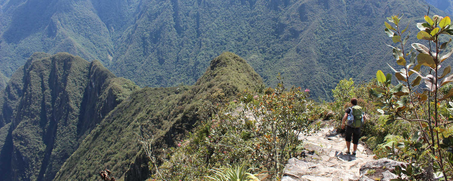 Inca Jungle Trek to Machu Picchu (The Ultimate Inca Experience)