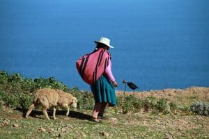 Lake Titicaca - Ultimate Guide To The Birthplace of The Sun